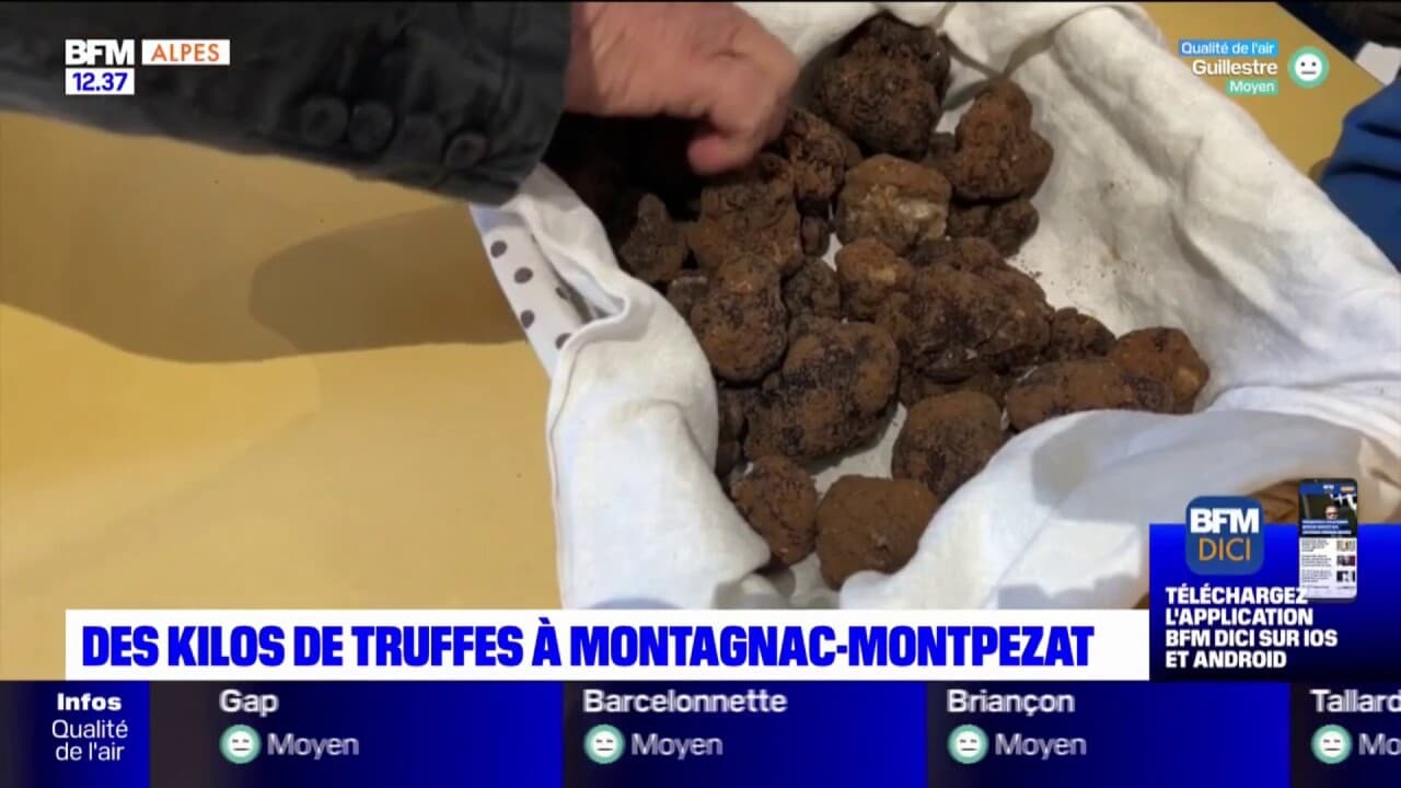 Montagnac-Montpezat: les truffes se vendent comme des petits-pains
