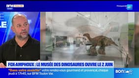 Planète locale du mercredi 12 février - Fox-Amphoux : le musée des ...