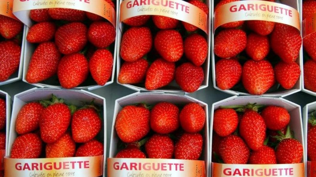 Comment bien choisir des fraises?