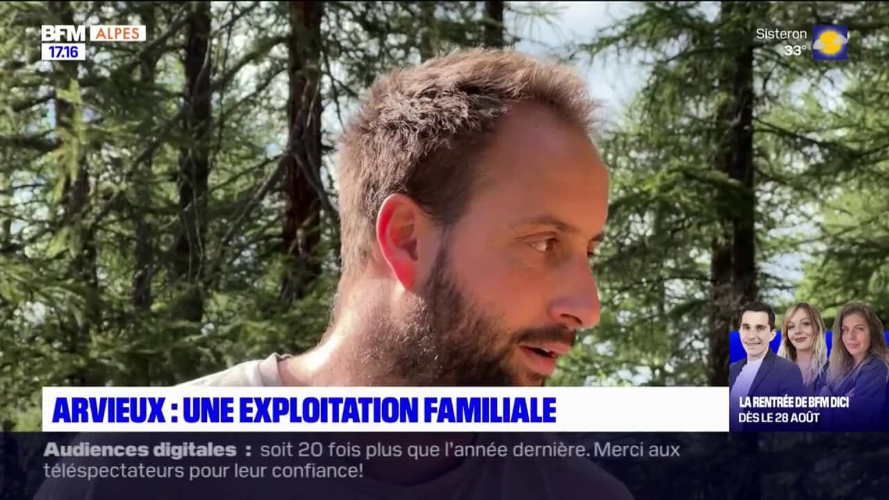 Arvieux: une seule exploitation de vaches laitières