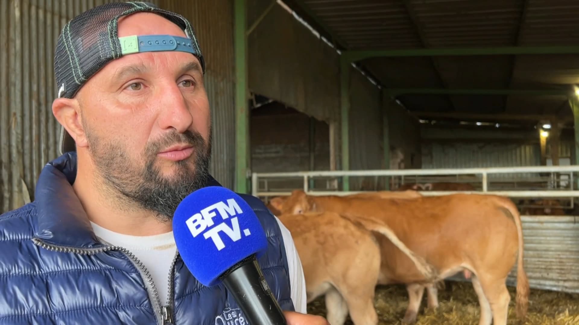 "On se sert de nous": l'éleveur Jérôme Bayle n'exclut pas la reprise ...