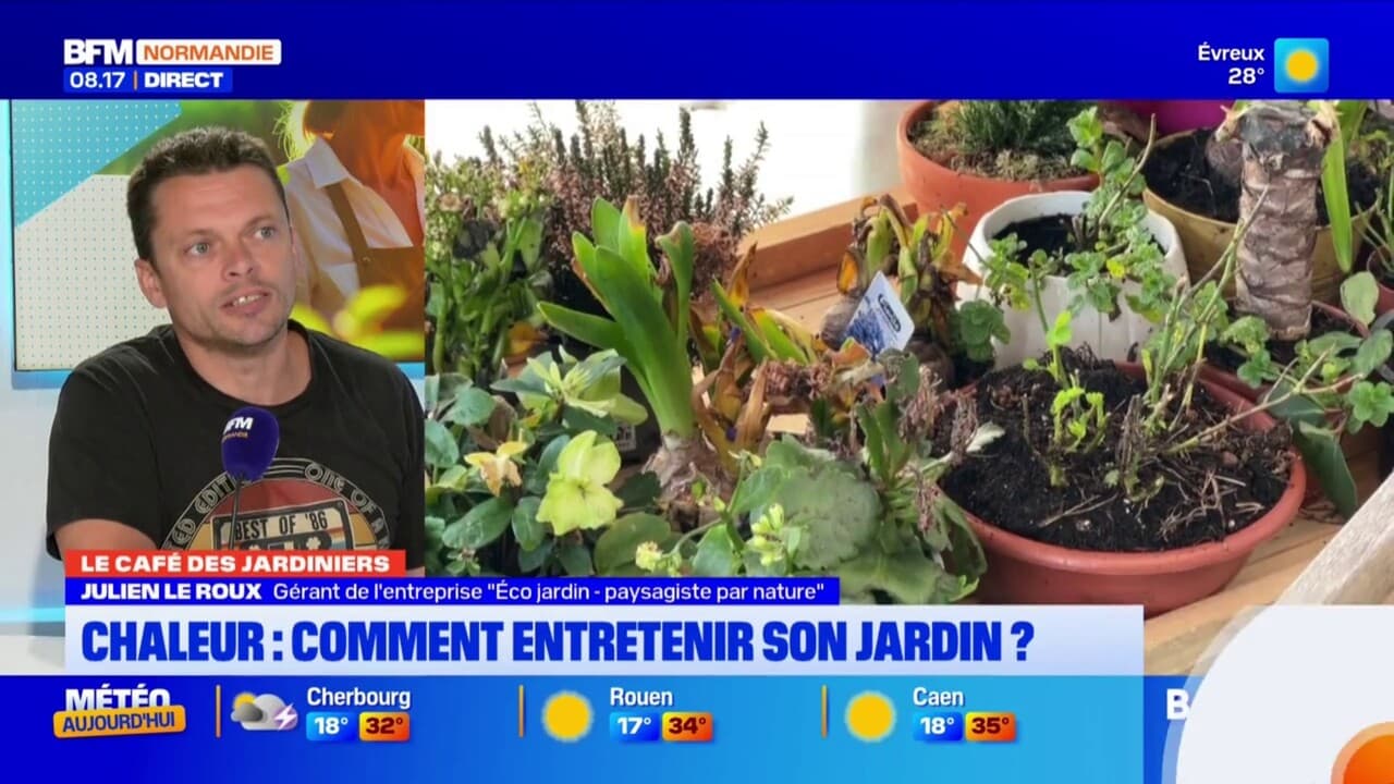Le Café des Jardiniers: comment entretenir son jardin en période de ...