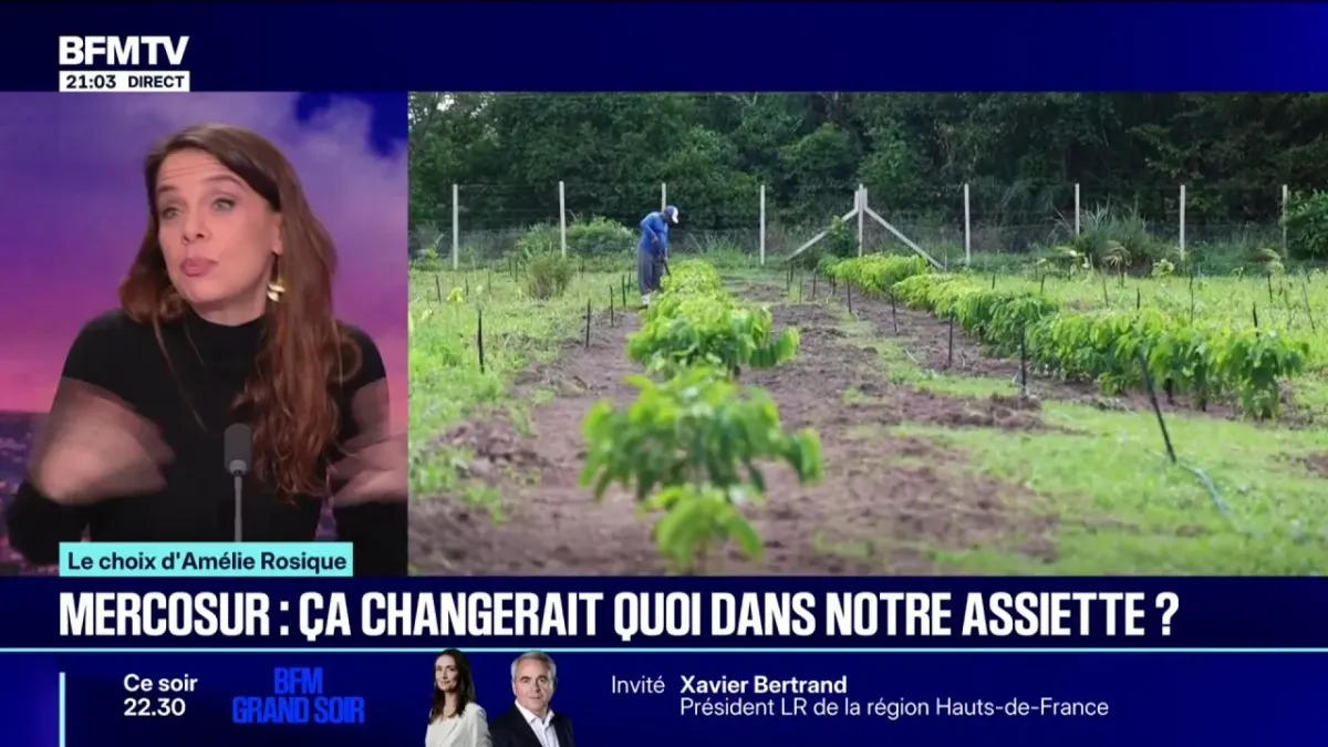 LE CHOIX D’AMÉLIE ROSIQUE - Accord UE-Mercosur: ça changerait quoi dans ...