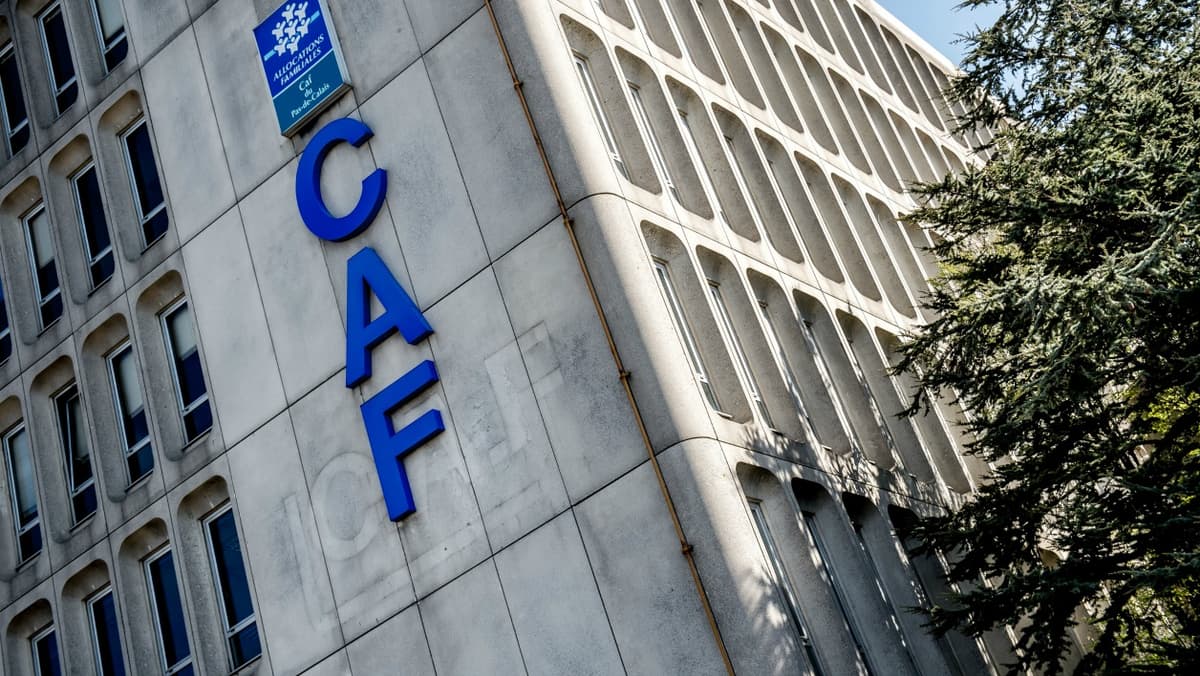 Un algorithme anti-fraude discriminatoire à la CAF? La Défenseure des ...