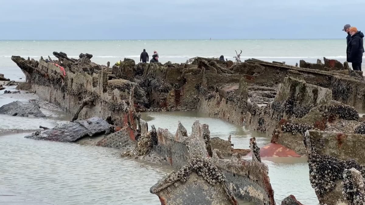 Grandes marées: des épaves de navires de plus de 80 ans ont refait ...