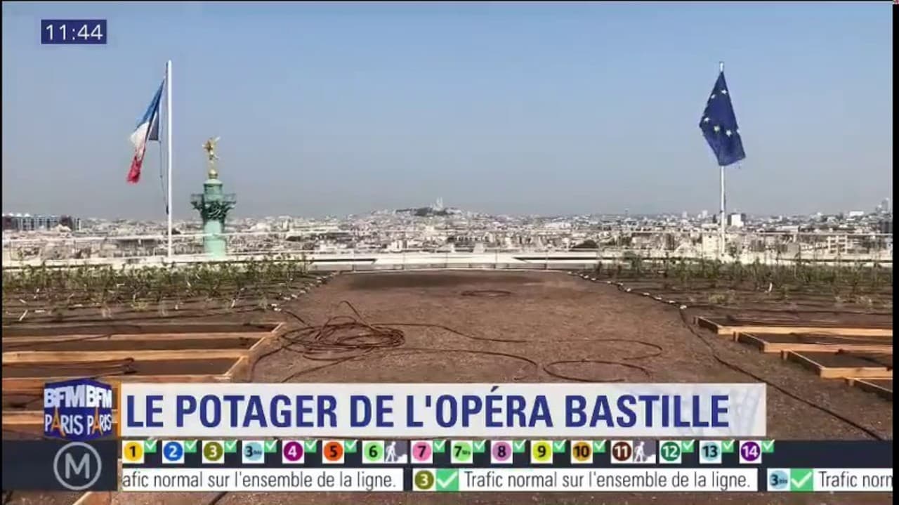 Un potager sur le toit de l'Opéra Bastille