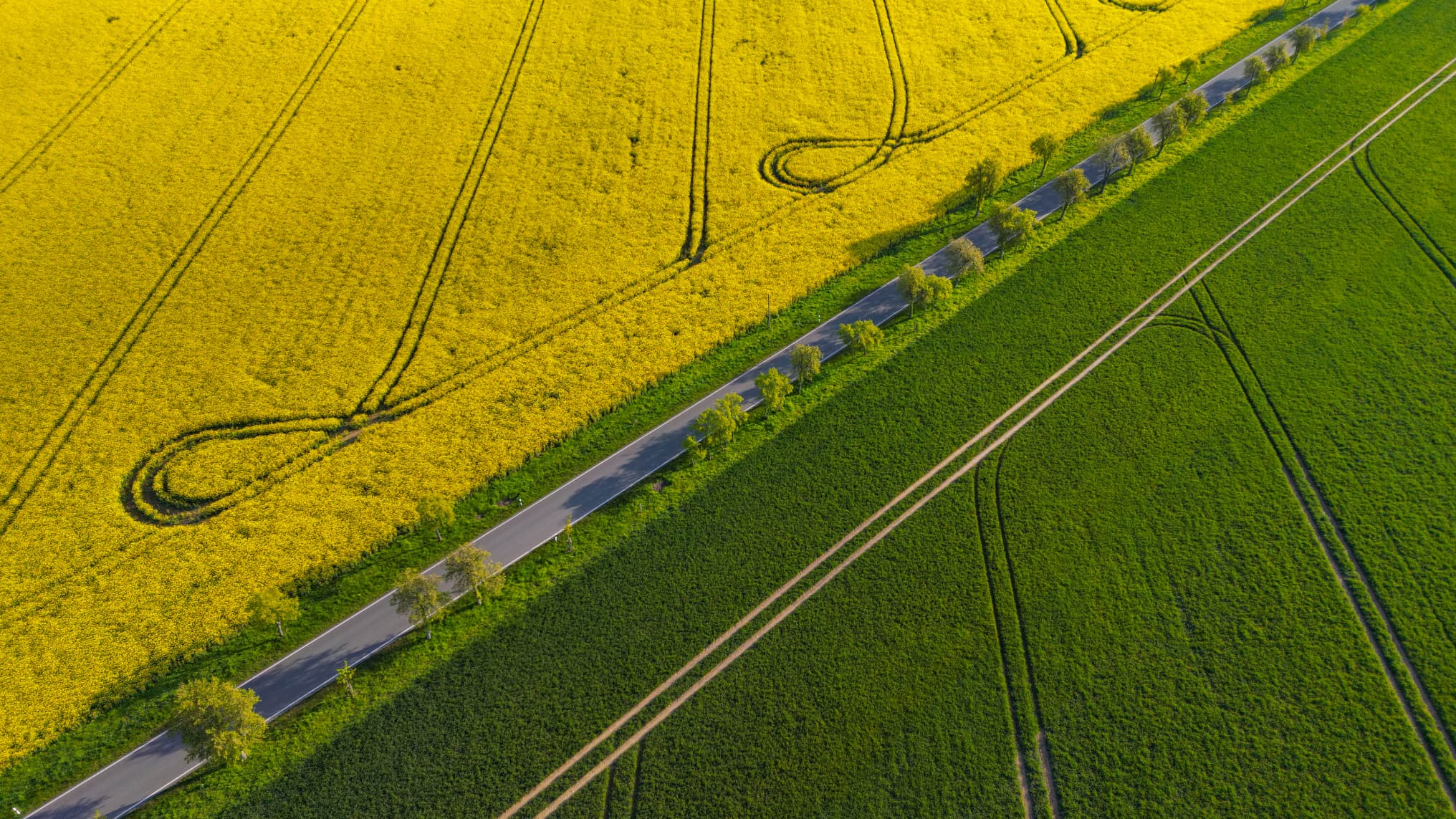 Ils ne permettent pas de réduire significativement les émissions de gaz ...