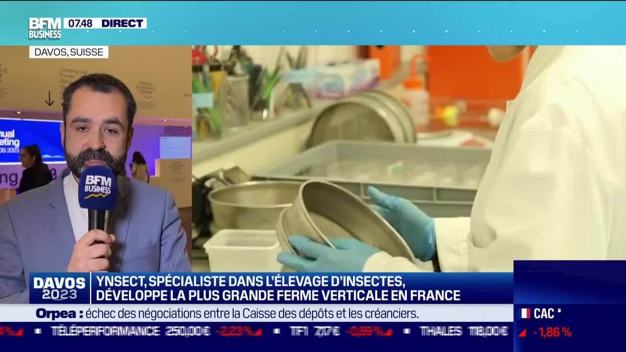 Antoine Hubert (Ynsect) : La French tech à Davos - 20/01