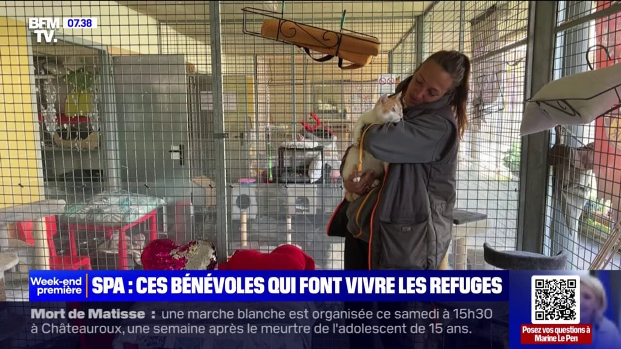 SPA: ces bénévoles qui font vivre les refuges