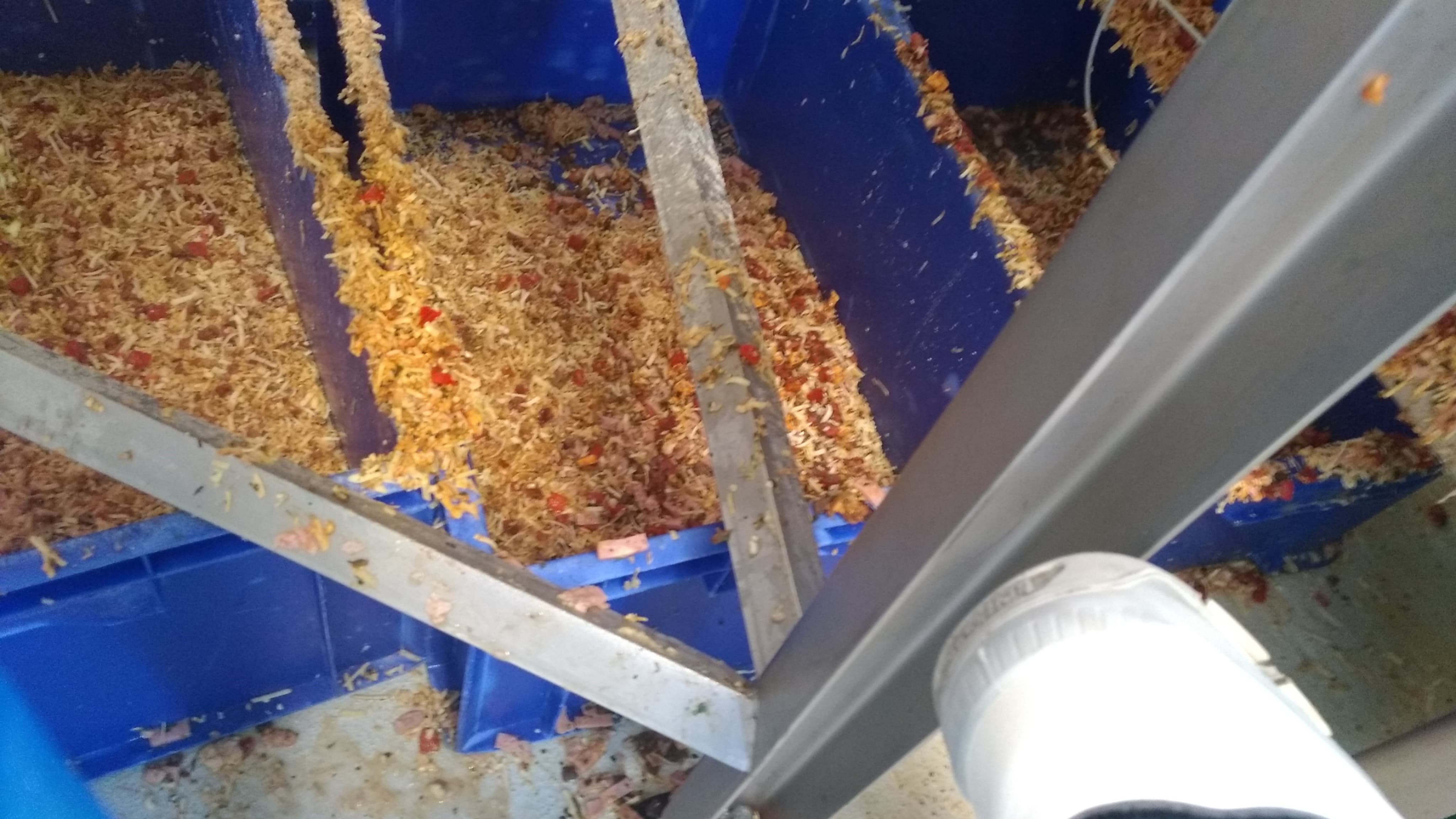 Pizzas Buitoni: les images choc des conditions d’hygiène au sein de l ...