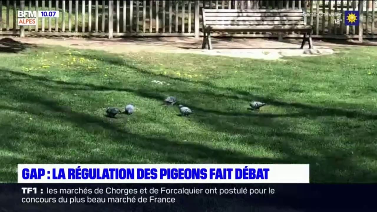 Gap: plus de 32.000 personnes ont signé une pétition pour réguler la ...