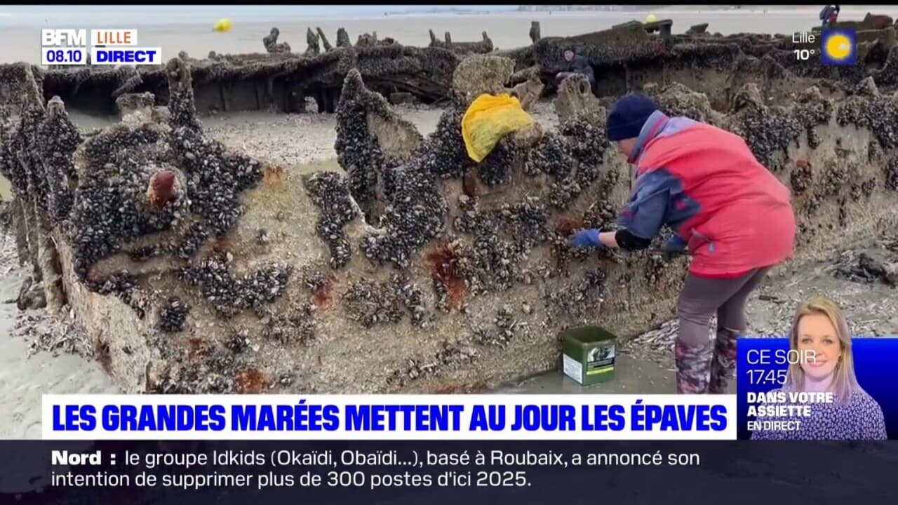 Les grandes marées mettent au jour des épaves de bateau le long du littoral