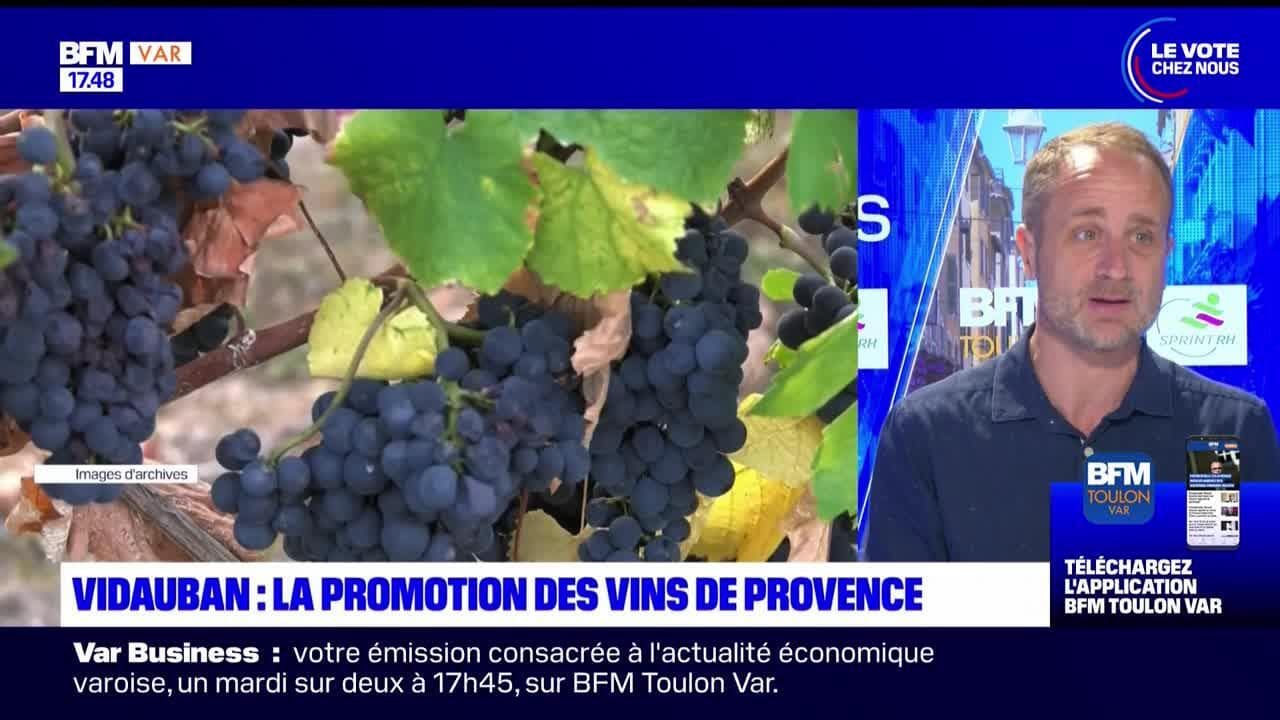 Var Business du mardi 25 juin - Vidauban : la promotion des vins de Provence