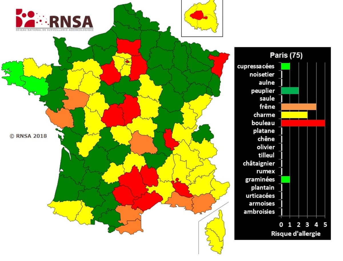 Bouleau, cyprès, frêne: les pollens sont de retour