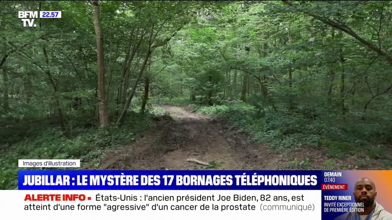 Affaire Jubillar: le téléphone de Cédric Jubillar a borné 17 fois dans une zone boisée non ...