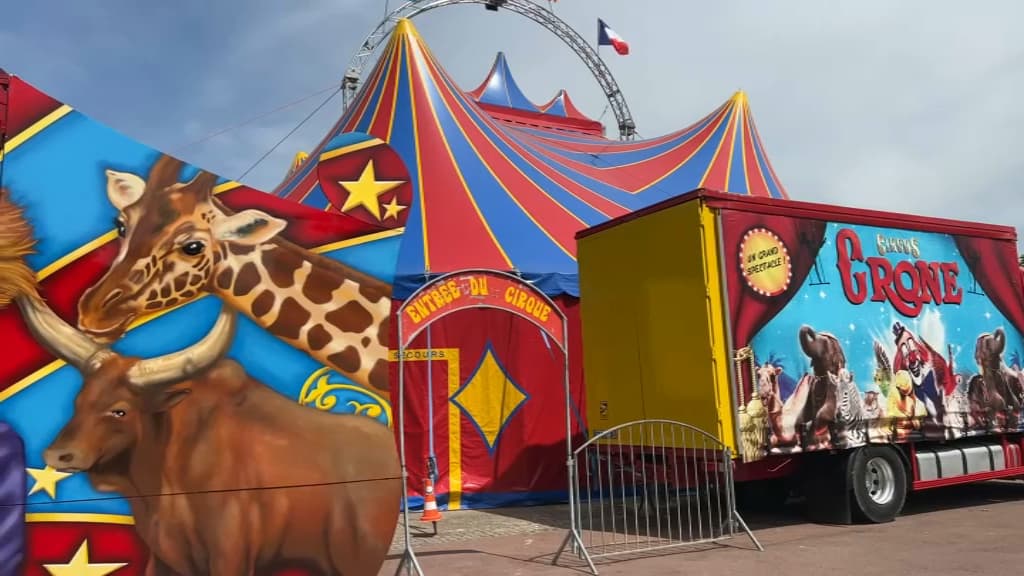 À Grasse, un cirque a tenté de s'installer sur un terrain sans autorisation