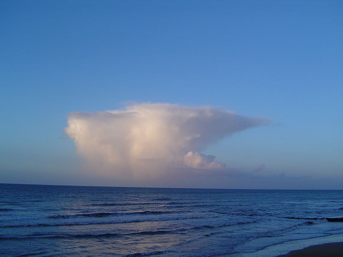 Cumulonimbus, cumulus... Ces nuages qui annoncent l'arrivée des orages