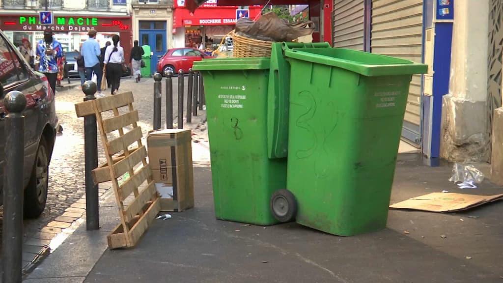 84% des Parisiens trouvent leur ville sale, selon un sondage