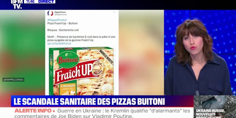 Bactérie Escherichia coli dans des pizzas Buitoni - Page 2