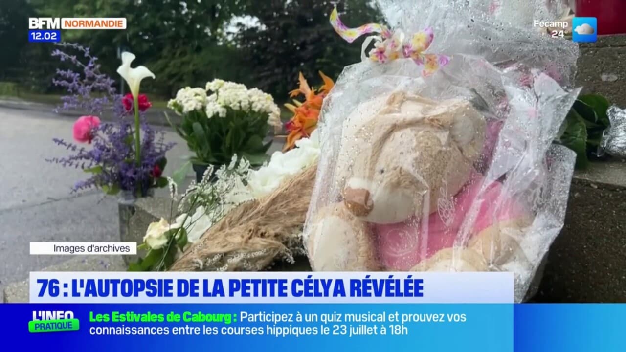 Mort de Célya en Seine-Maritime: l’autopsie confirme l’important fracas ...