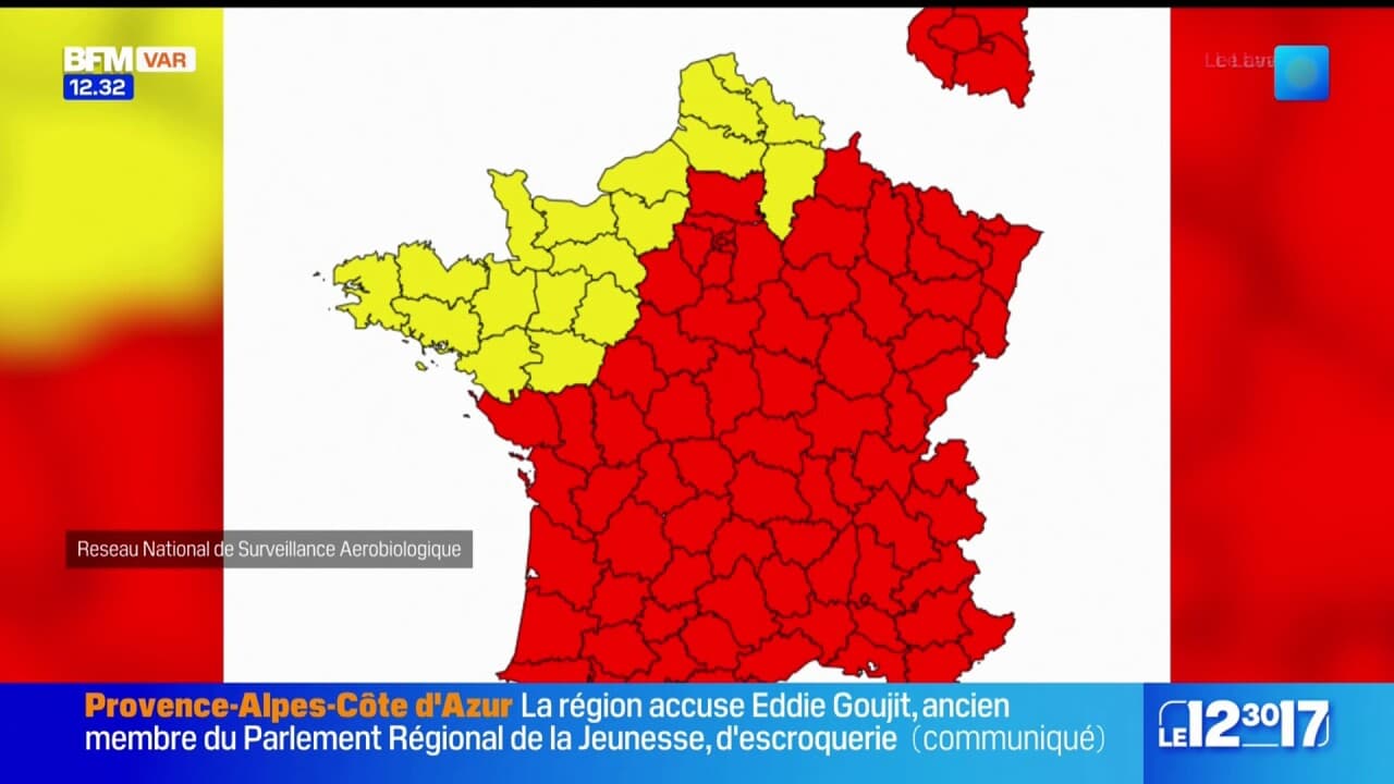 Le département du Var placé en alerte rouge aux pollens Le département du Var placé en alerte rouge aux pollens
