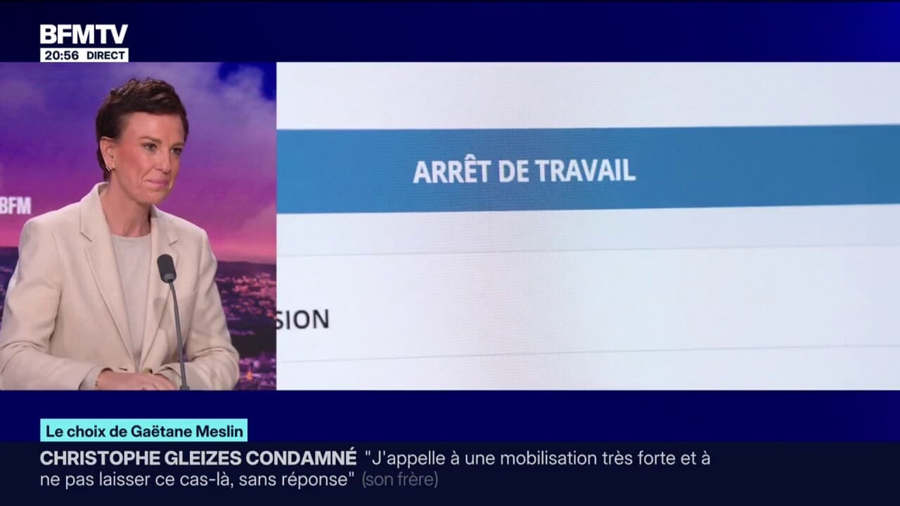 LE CHOIX DE GAËTANE MESLIN - Fraude aux arrêts-maladies : l'assurance ...