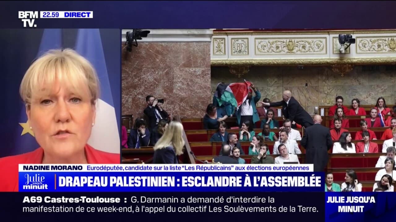 Drapeau palestinien à l'Assemblée: "Je suis profondément scandalisée de ...
