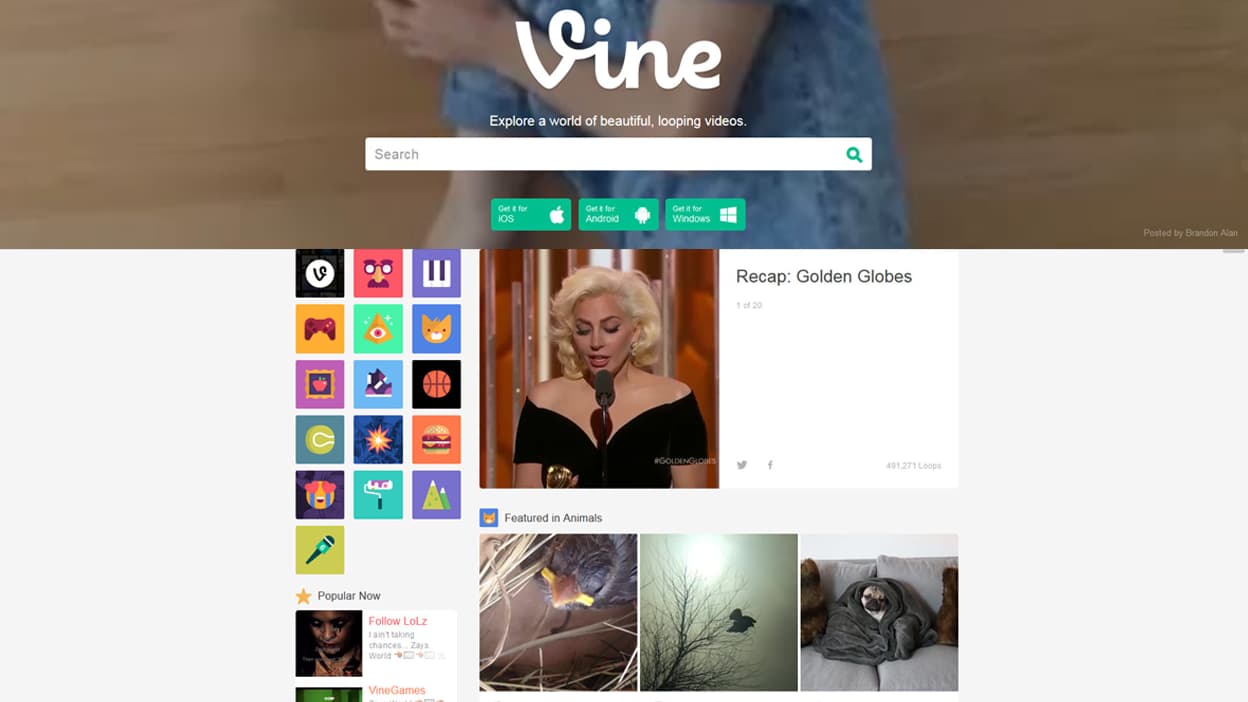 Vine fête ses trois ans et regroupe toutes les vidéos qui ont fait le buzz