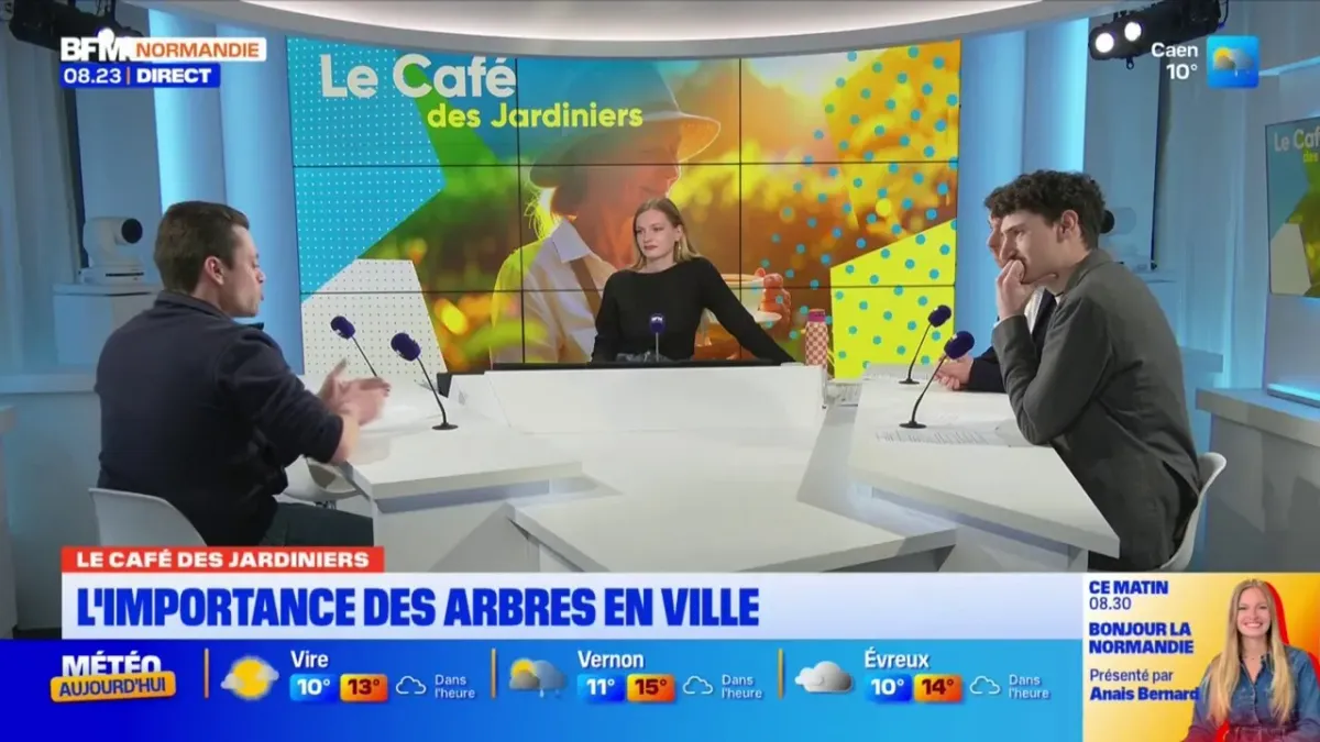 Le Café des Jardiniers: l'importance des arbres en ville