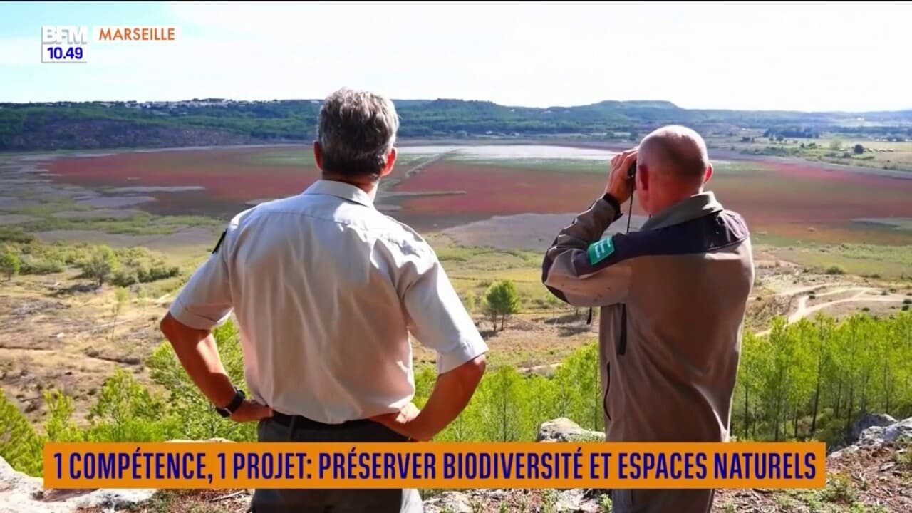 1 compétence, 1 projet : préserver biodiversité et espaces naturels