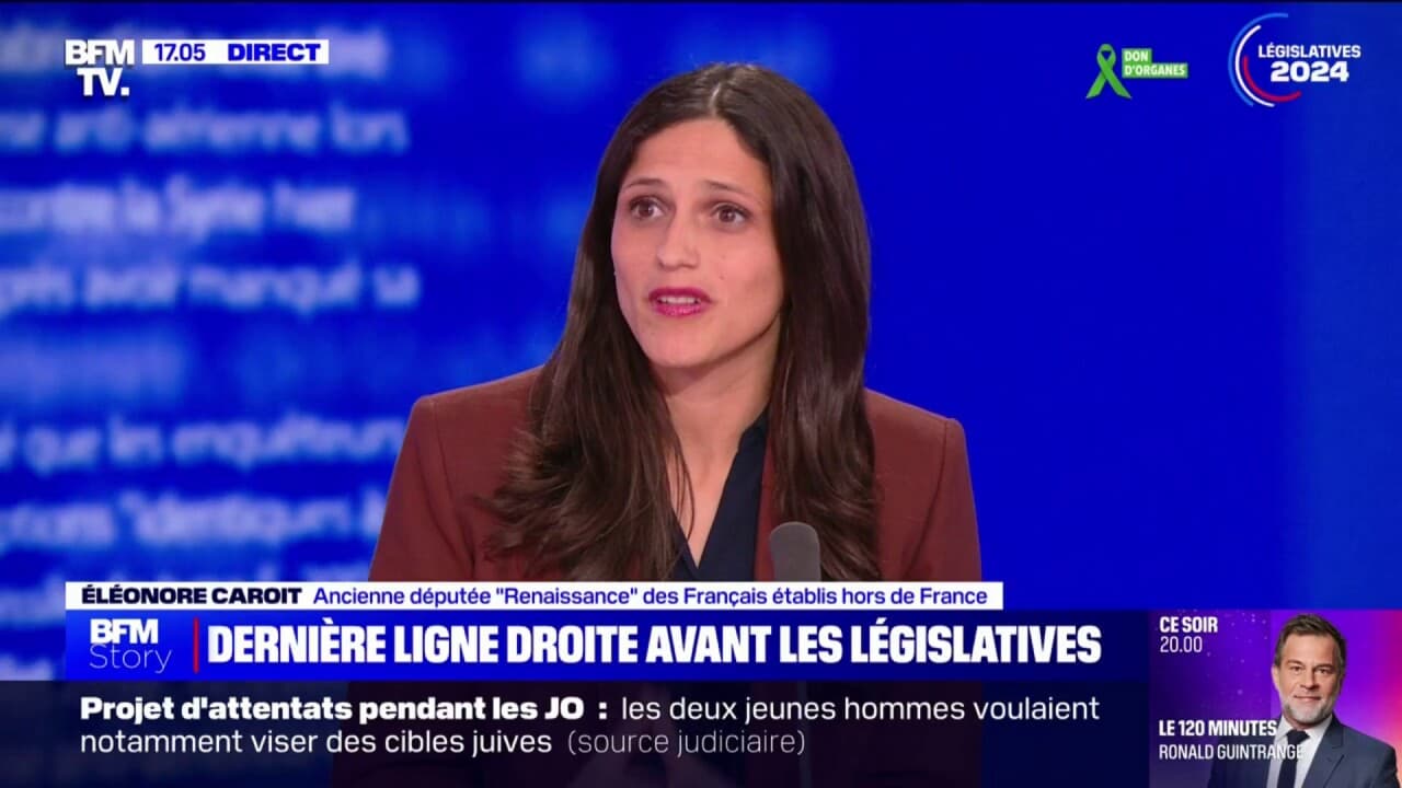 Éléonore Caroit (Renaissance), à propos du Nouveau Front populaire: "C ...