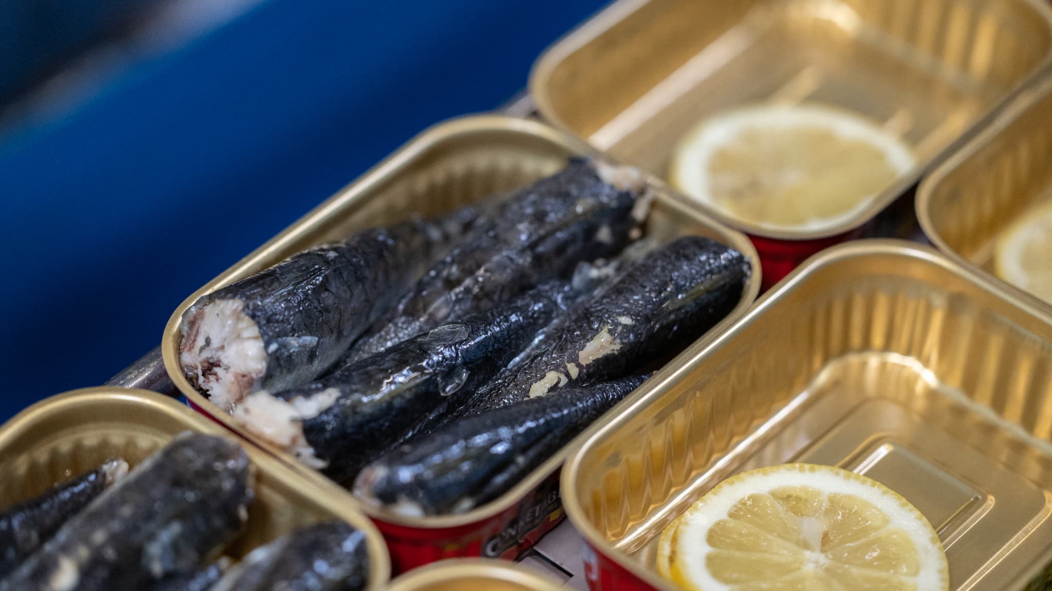 Mauvaise pêche, taille réduite... La sardine en boîte sera-t-elle la ...