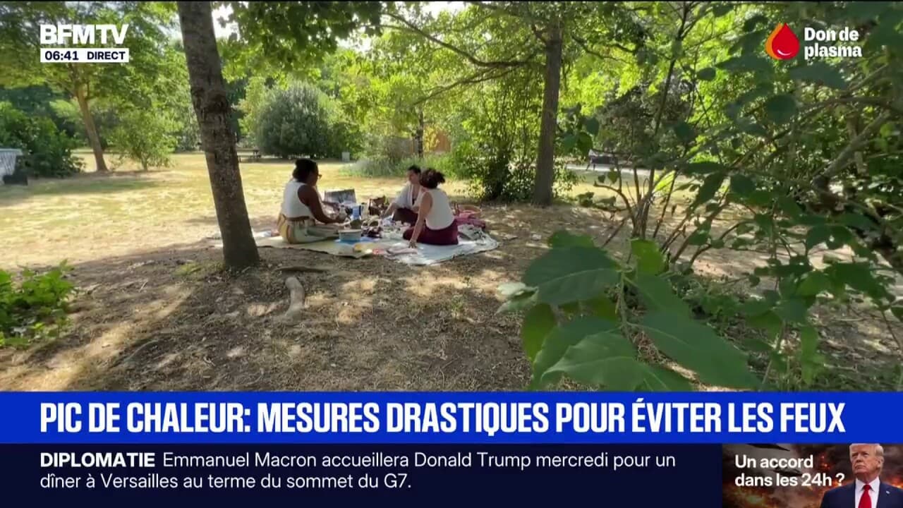 Pic de chaleur: des mesures drastiques mises en place pour éviter les ...