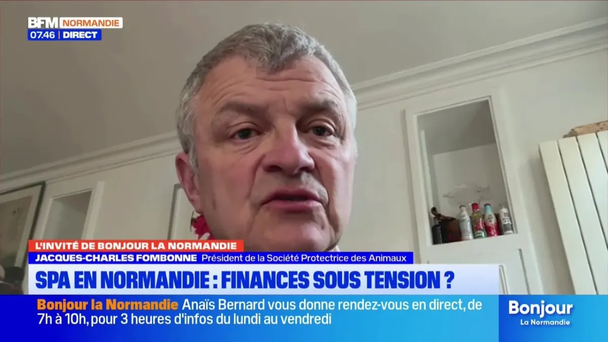 L'invité de Bonjour la Normandie du jeudi 26 mars 2026 - Jacques ...