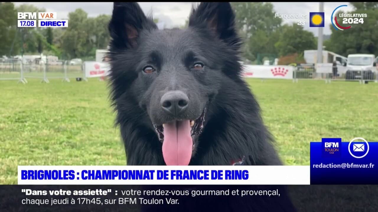 Brignoles: la finale du championnat de France de ring se tient ce week-end