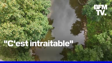 Santé: actualités, vidéos et conseils en continu - BFMTV