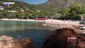 Au cœur du Lavandou