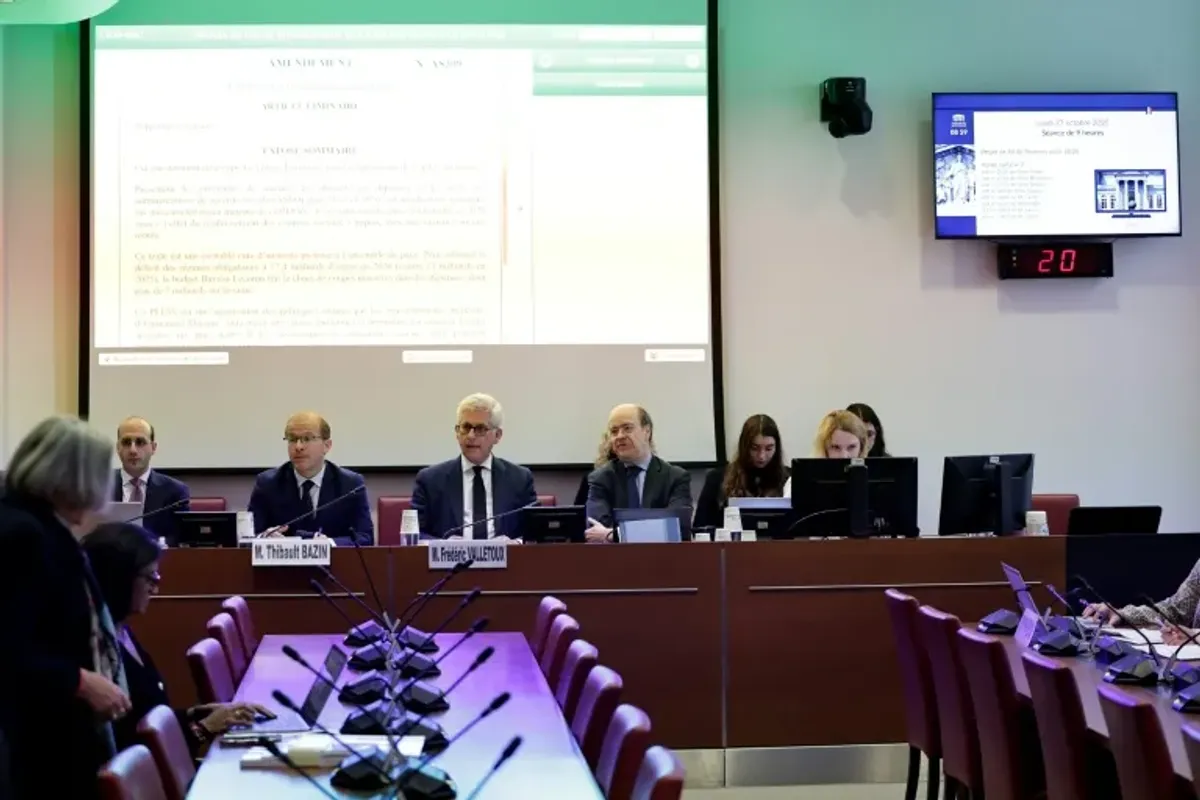 La commission des affaires sociales de l'Assemblée nationale supprime ...