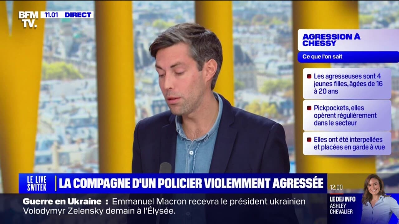 Ce que l'on sait de la violente agression de la compagne d'un policier en Seine-et-Marne ...