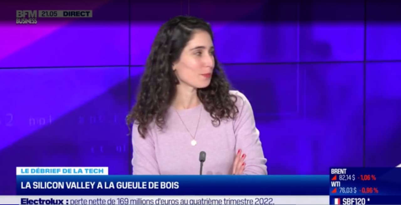 "C'est aussi dégraisser le mammouth": Perle Bagot sur la situation des entreprises de la Silicon ...