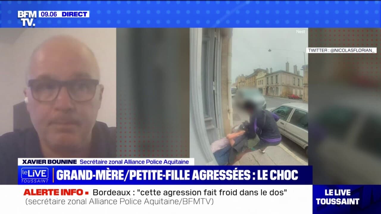 Agression à Bordeaux: l'homme en garde à vue "déjà interpellé pour des ...