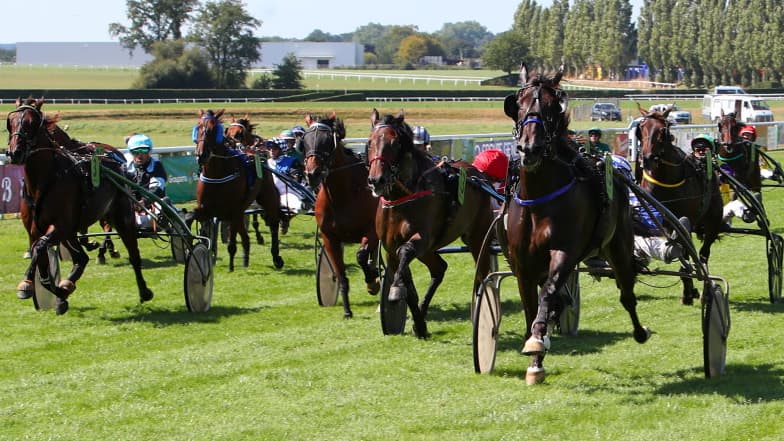 Les Pronos Hippiques Du Lundi 2 Septembre 2024