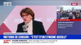 Motions de censure: la ministre de l'Agriculture Annie Genevard fustige ...