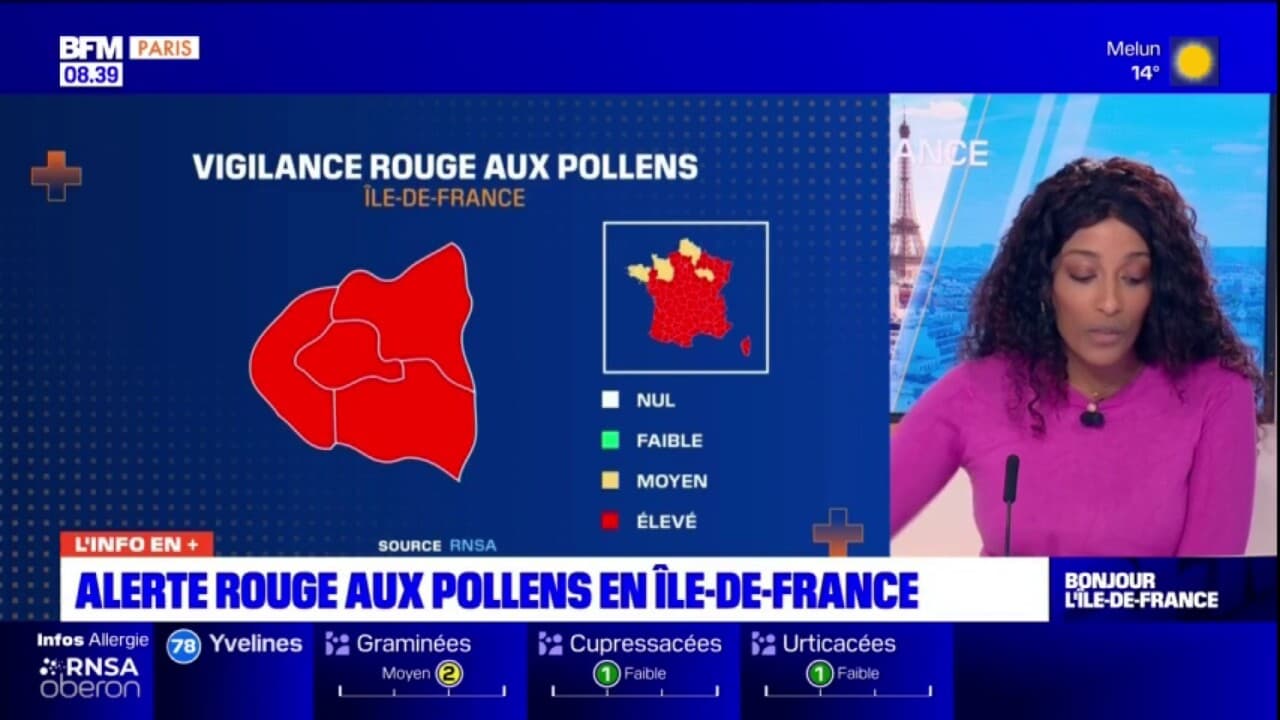 Île-de-France: vigilance rouge aux pollens