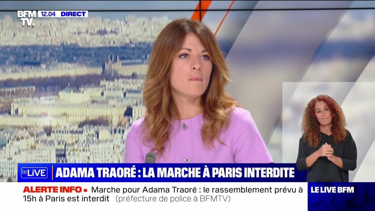 Marche pour Adama Traoré : les EELV demandent à autoriser la ...