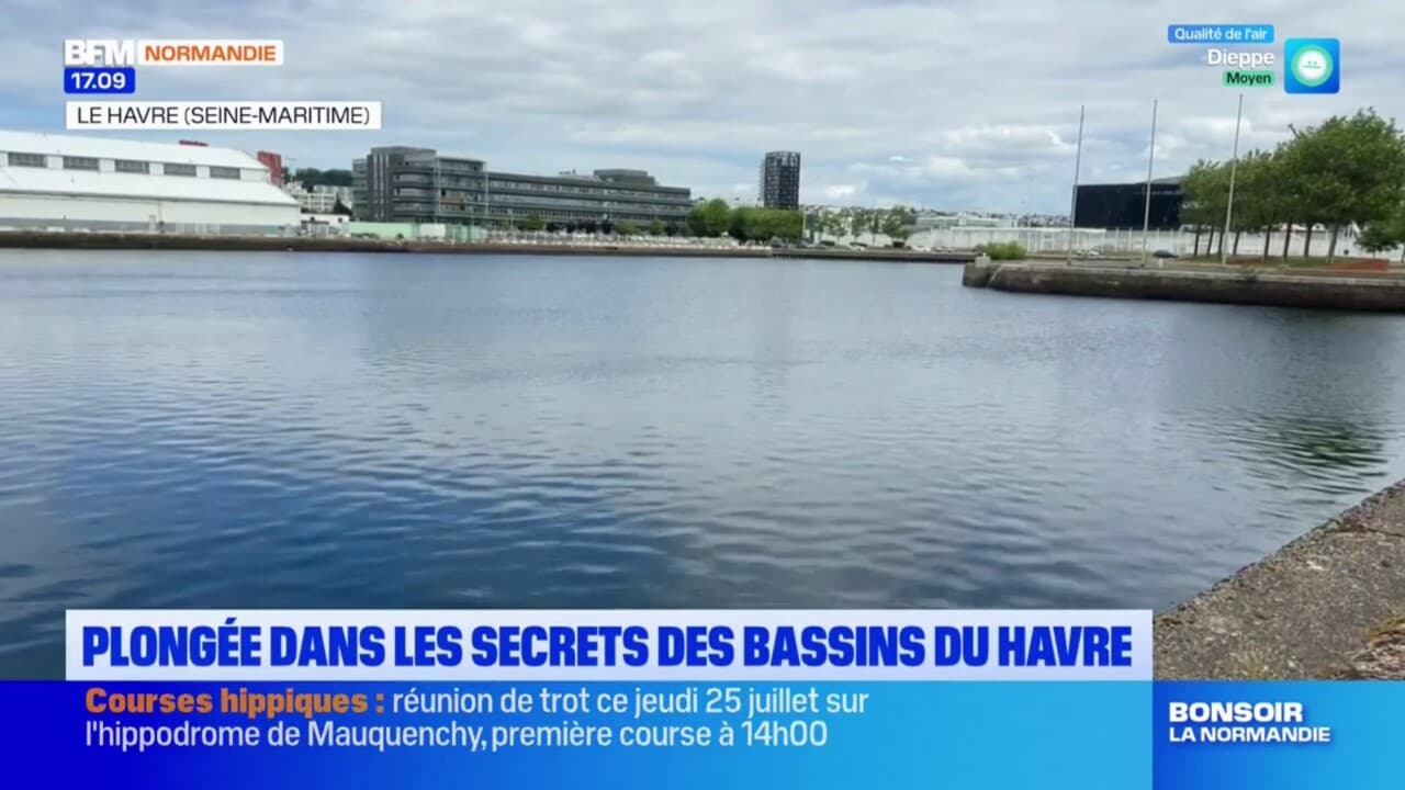 Le Havre: les bassins de la cité portuaire dévoilent leurs secrets