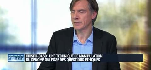 CRISPR-Cas9, la nouvelle technique de manipulation du génome qui ...