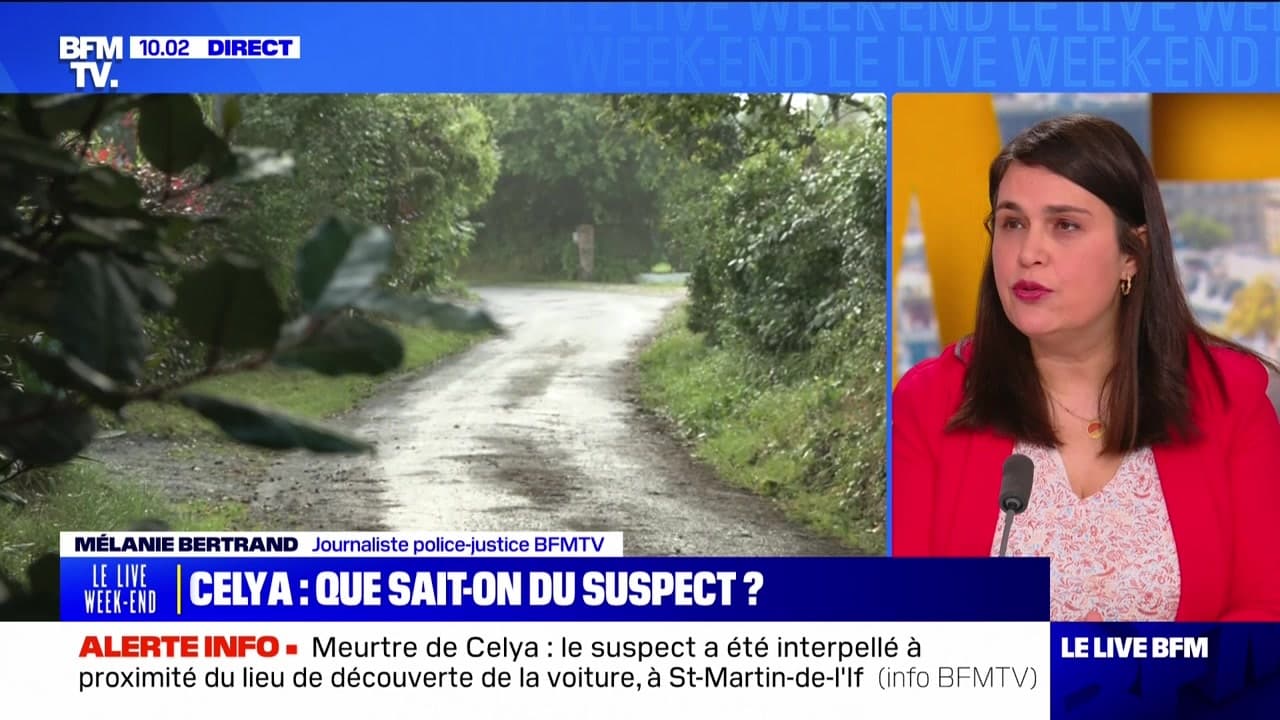 Celya : que sait-on du suspect ? - 13/07