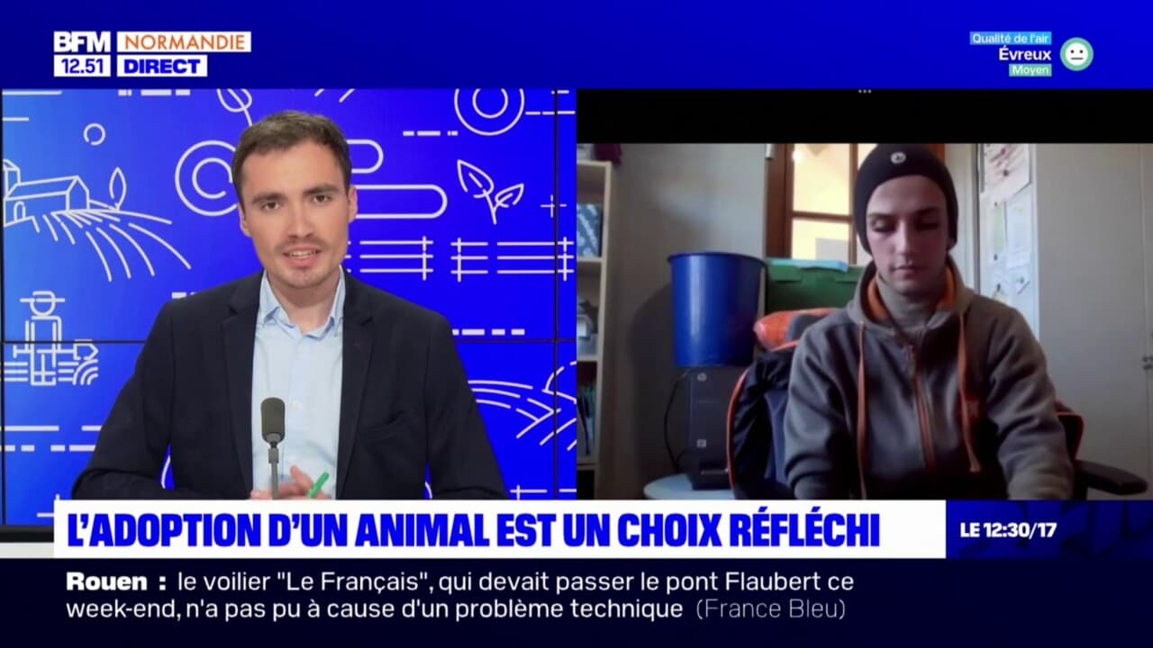 La SPA de Cabourg rappelle que l'adoption d'un animal est un choix réflechi