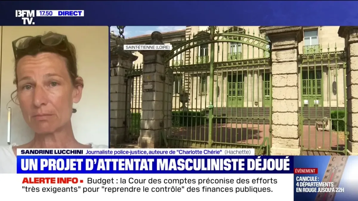 Attentat masculiniste déjoué: "Ces jeunes sont dans un profond mal-être ...